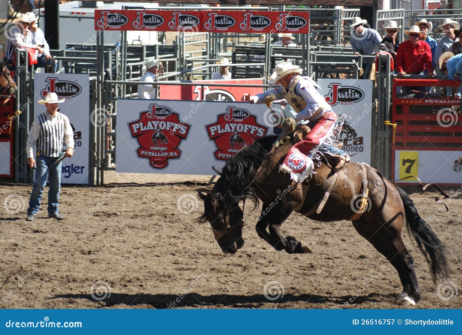 5,263 Cowboy Riding Wild Photos - Free & Royalty-Free Stock Photos from ...