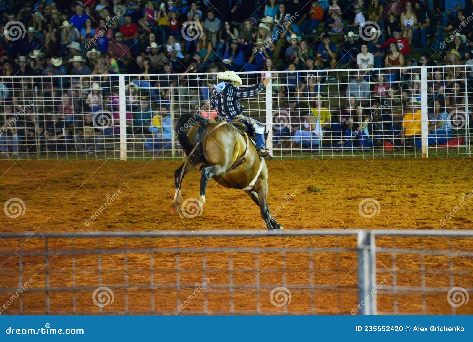 Cowboy Rodeo Championship in the Evening Editorial Image - Image of ...