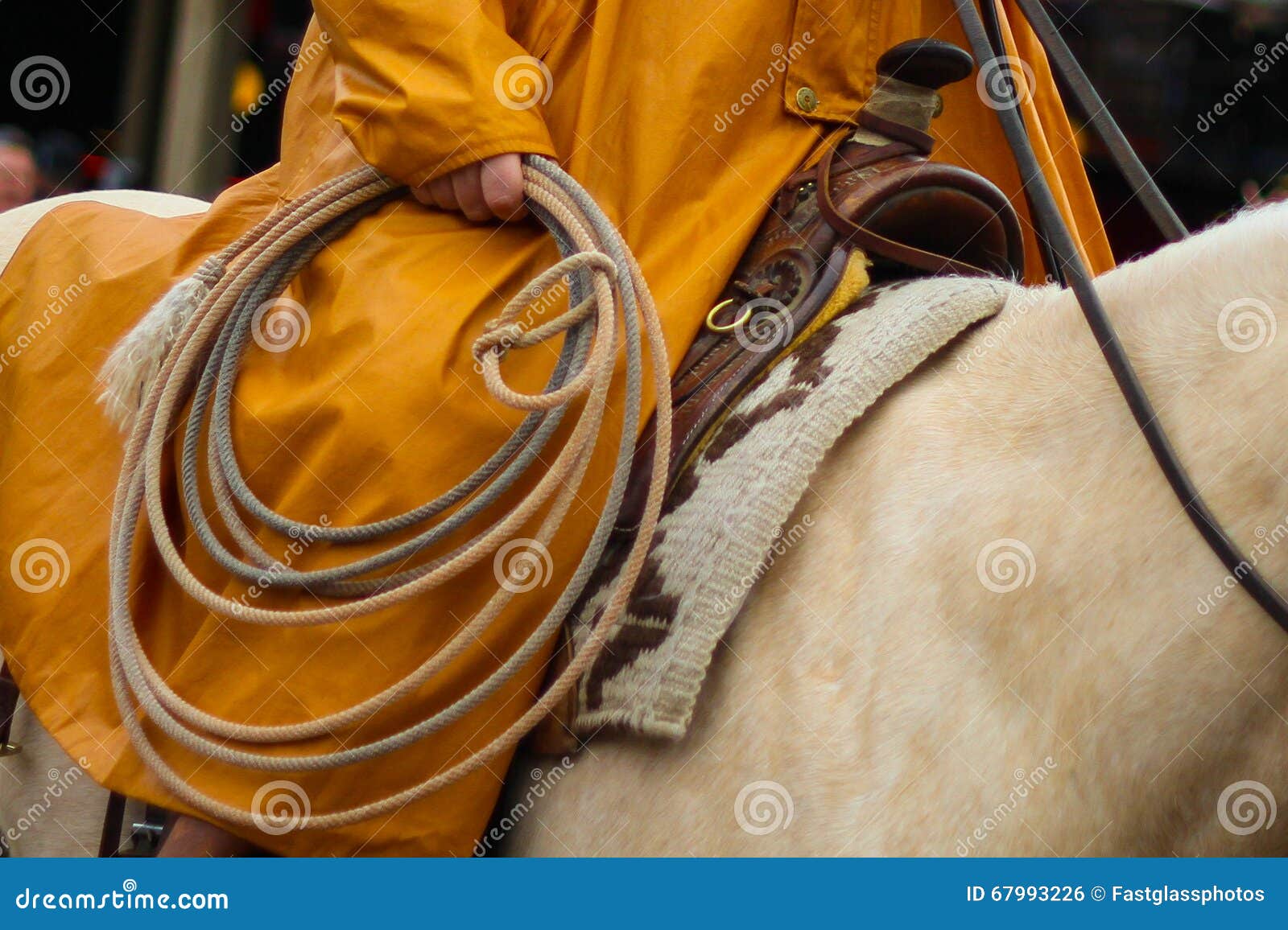 Cowboy Rope stock photo. Image of cowboys, horse, authentic - 67993226