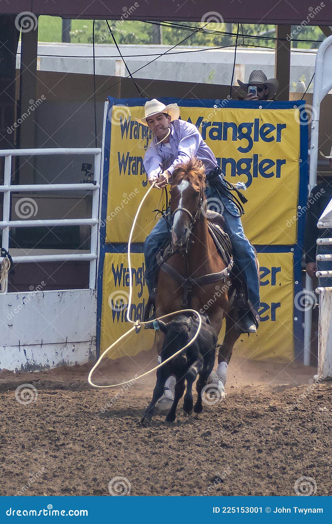 Cowboy Ropes a Steer editorial photo. Image of steer - 225153001