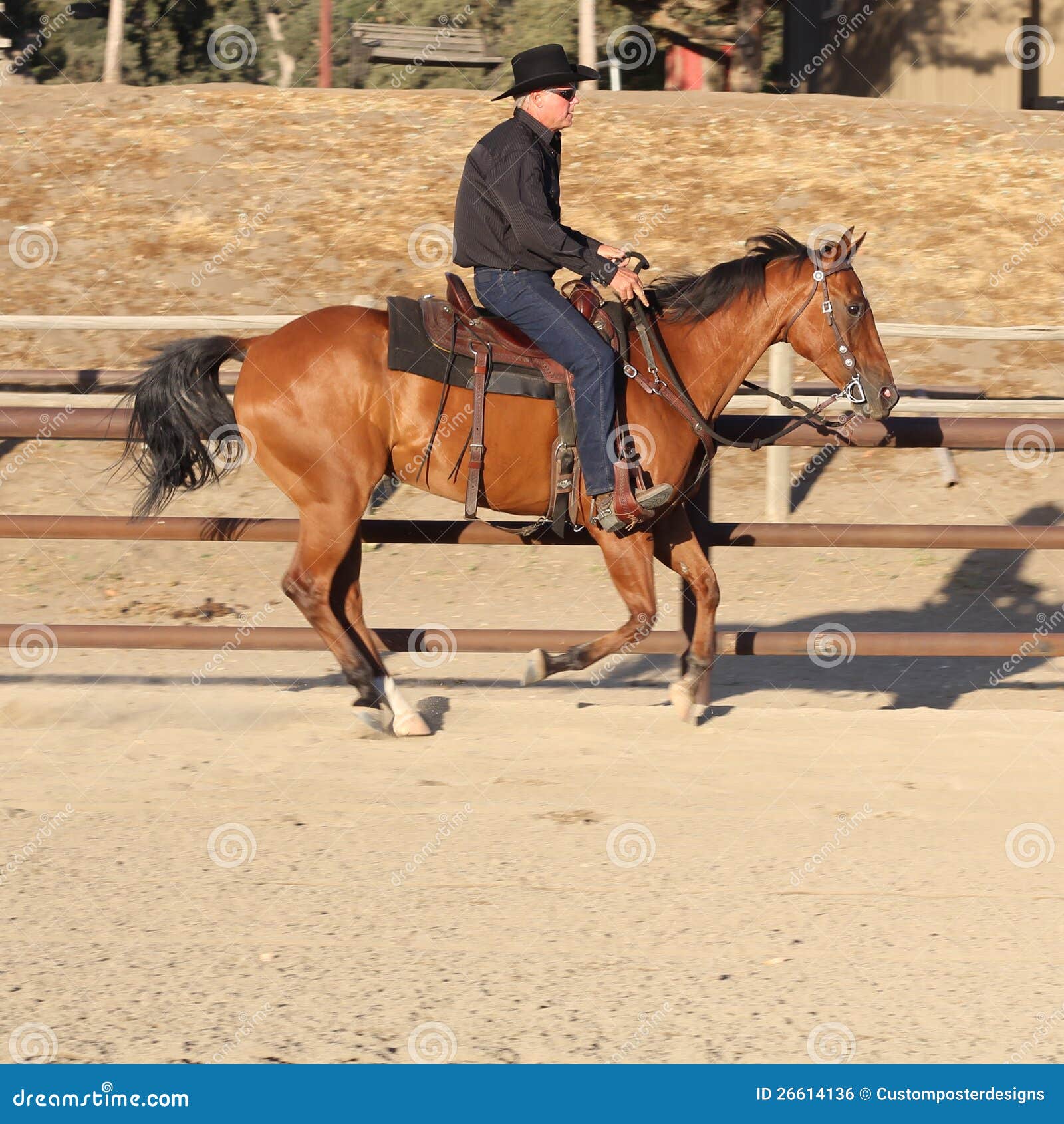 A Cowboy Running on a Horse I Stock Photo - Image of reining, cacti ...