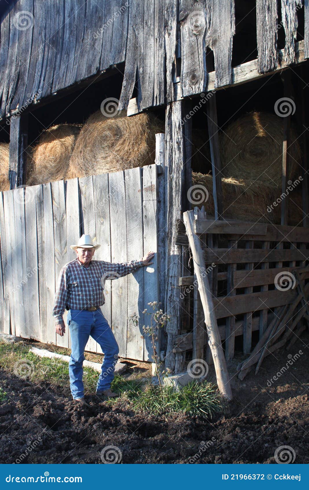 Cowboy by a Rustic Barn 2 stock photo. Image of large - 21966372