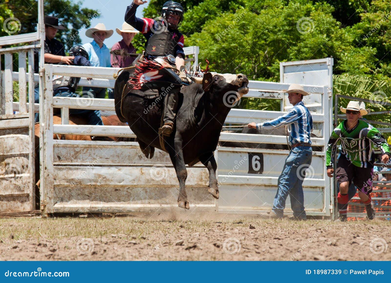 Cowboy S Riding Dangerous Bull Editorial Stock Image - Image of ...
