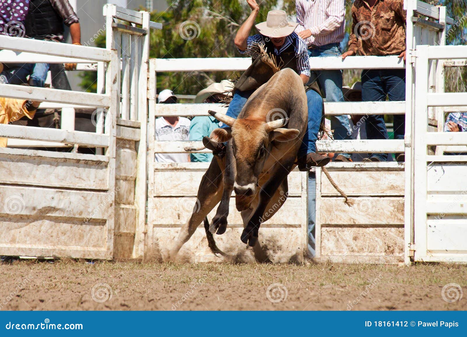 Cowboy S Riding Dangerous Bull on Rodeo Editorial Photography - Image ...
