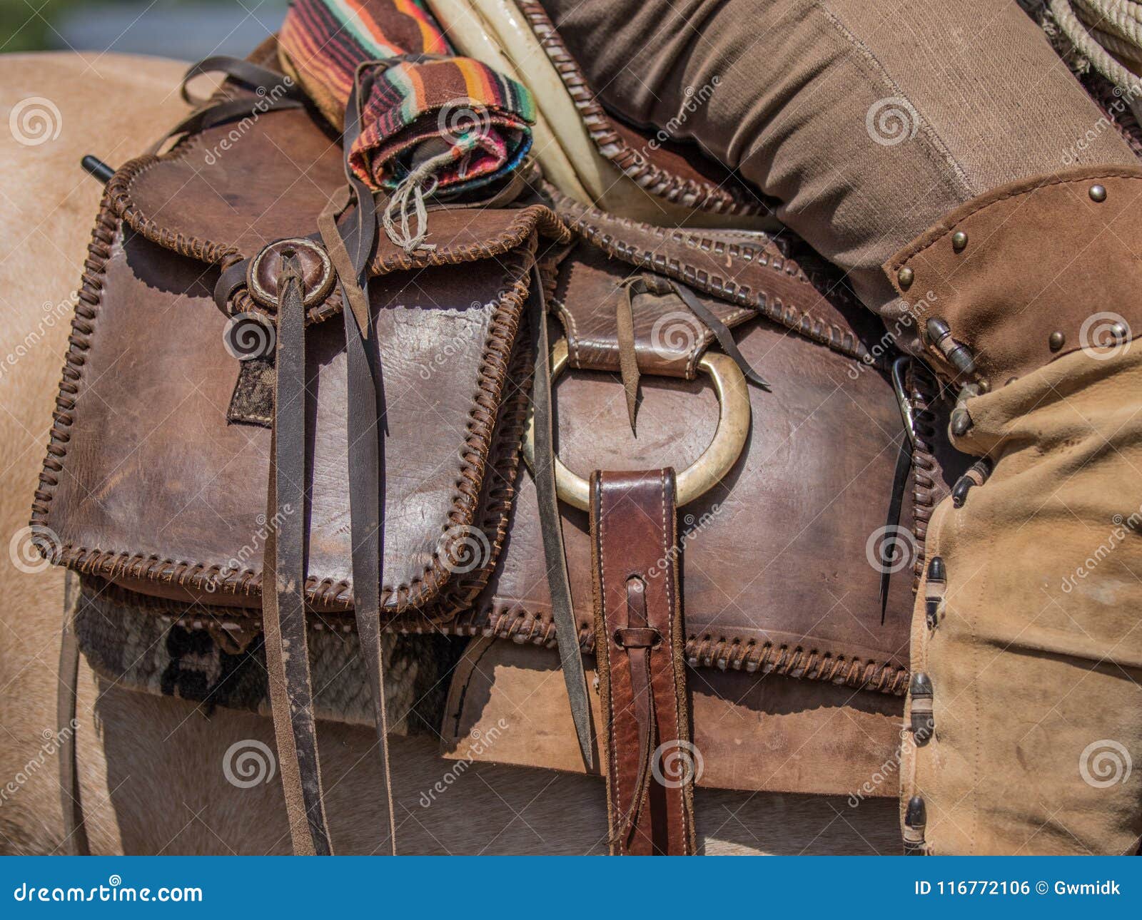 Cowboy Saddle Bags stockfoto. Bild von für, abseilen - 116772106