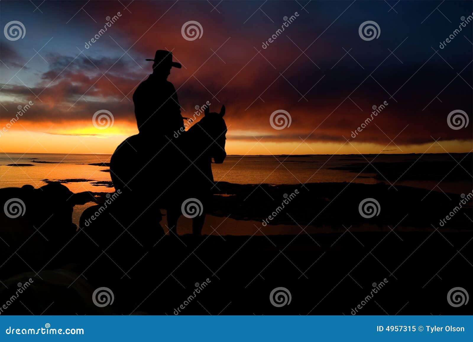 Western Cowboy Ocean Photos - Free & Royalty-Free Stock Photos from ...