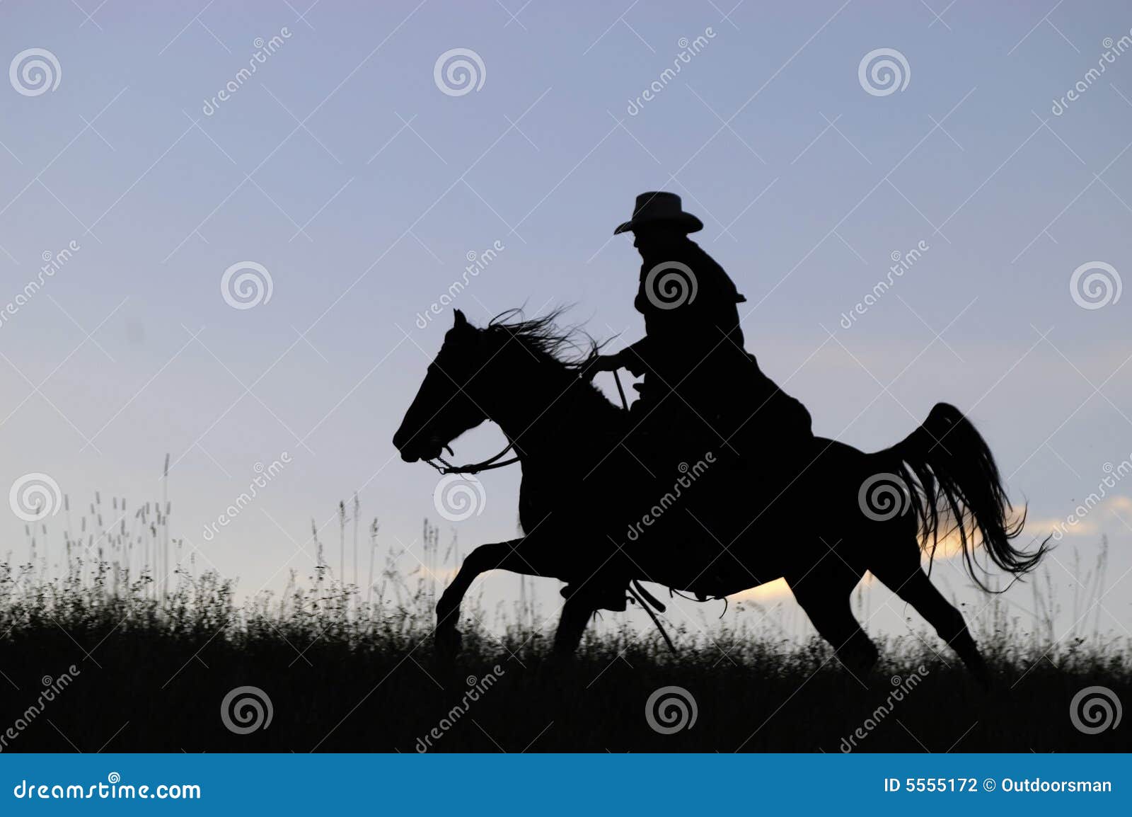 Cowboy silhouette stock photo. Image of silhouette, male - 5555172