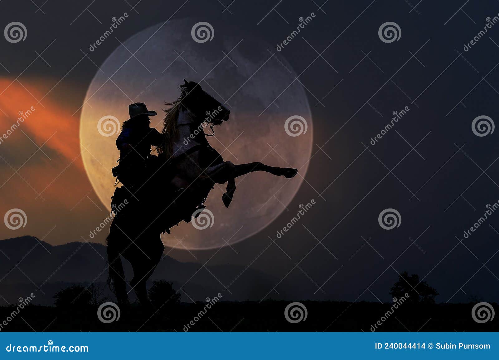 Cowboy Silhouette Royalty-Free Stock Image | CartoonDealer.com #5306548