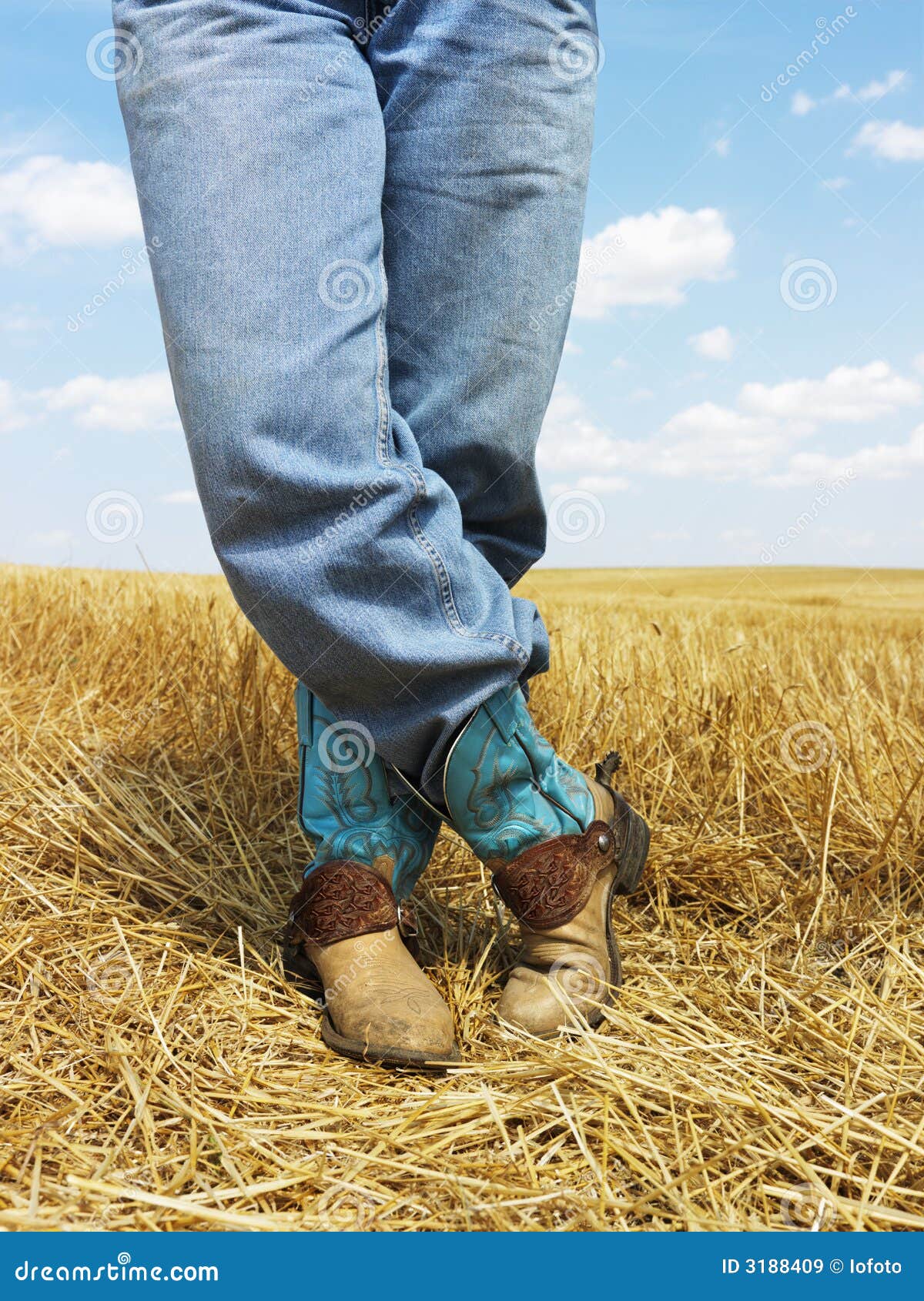 Cowboy standing in field. stock image. Image of ranch - 3188409