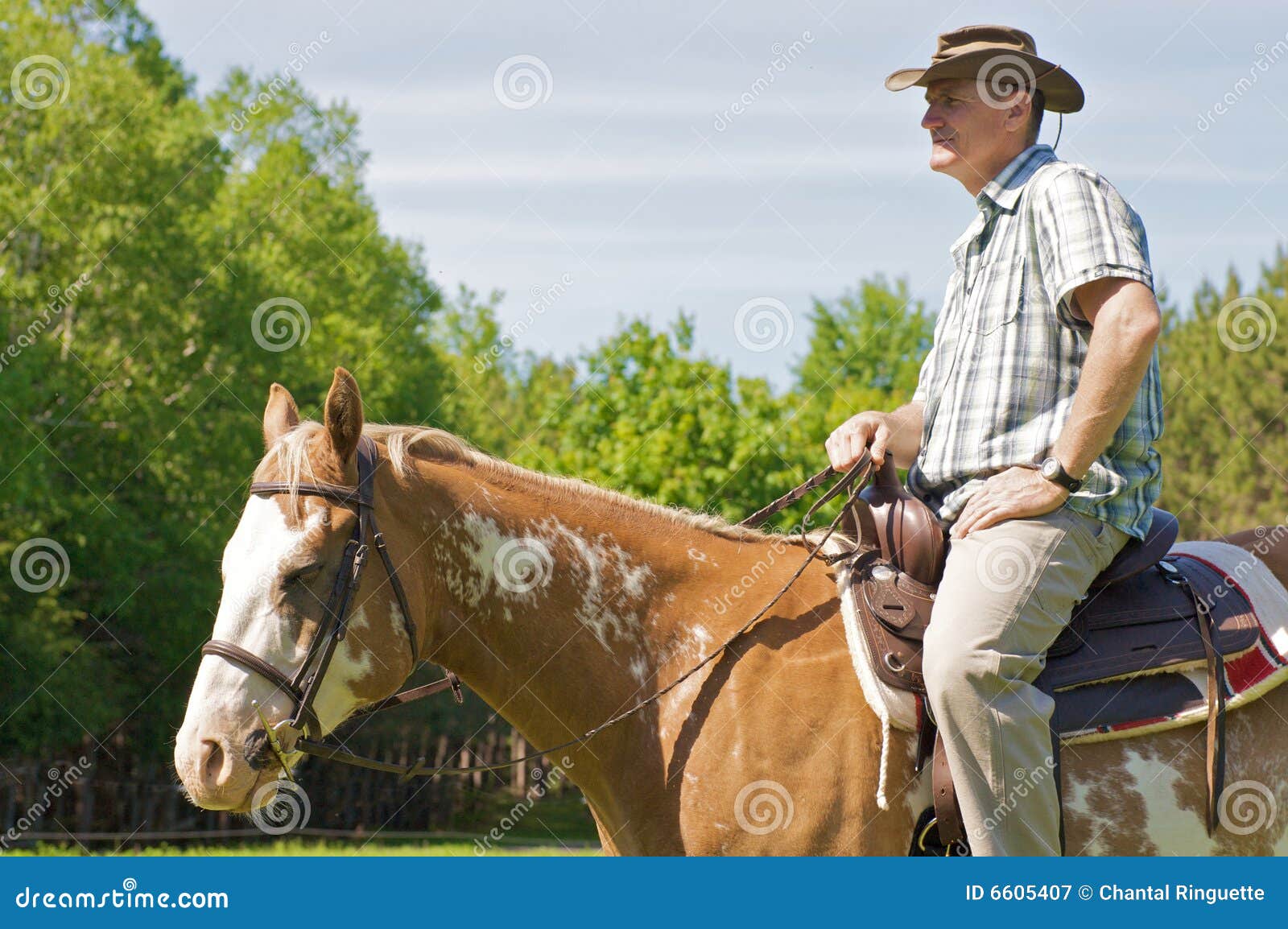 Cowboy sur son cheval image stock. Image du conduite, sport - 6605407