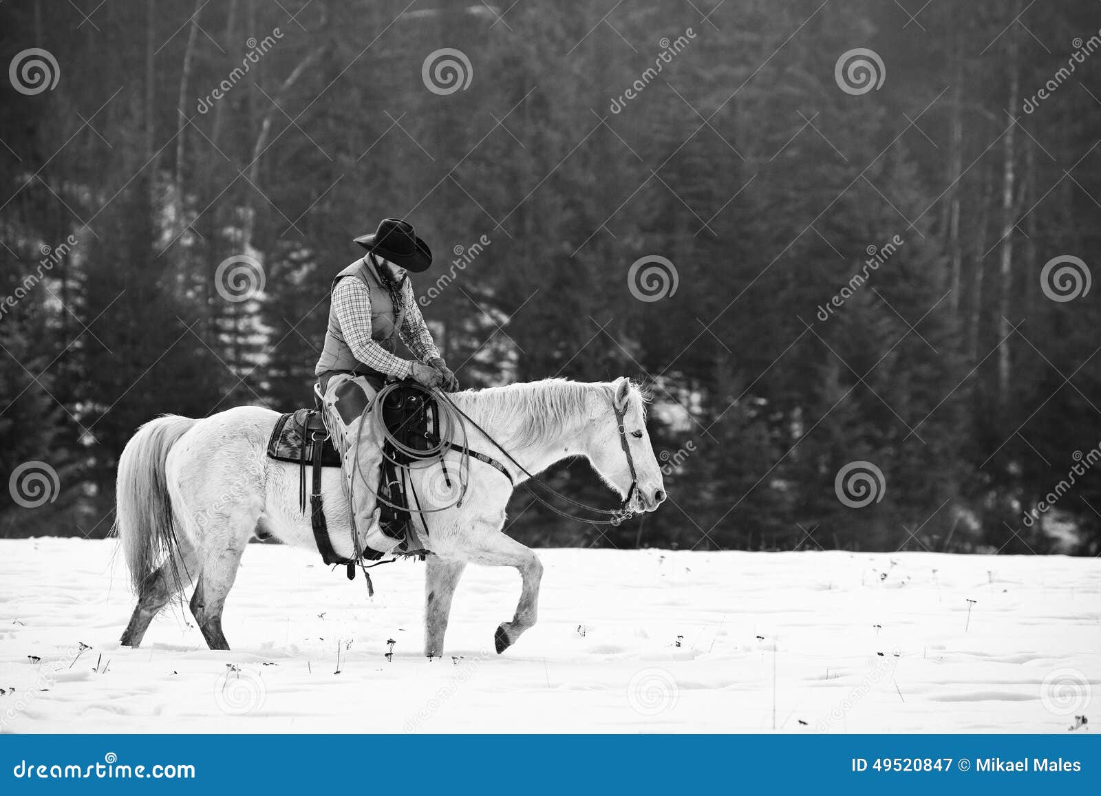 Cowboy tired in the saddle editorial photography. Image of guns - 49520847