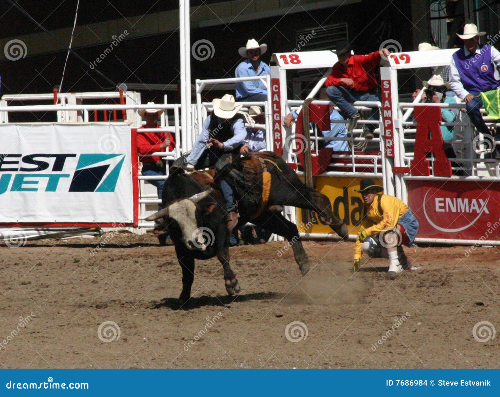 Cowboy Trying To Ride a Wild Bull, Editorial Stock Image - Image of ...