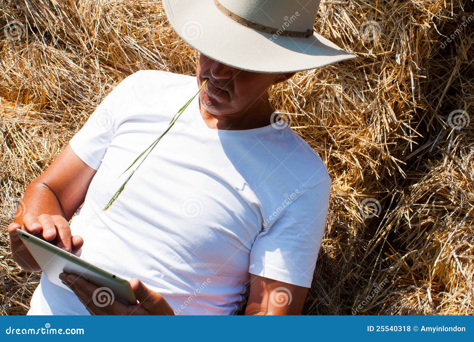 Cowboy Using Tablet Computer Horizontal Stock Photo - Image of bales ...