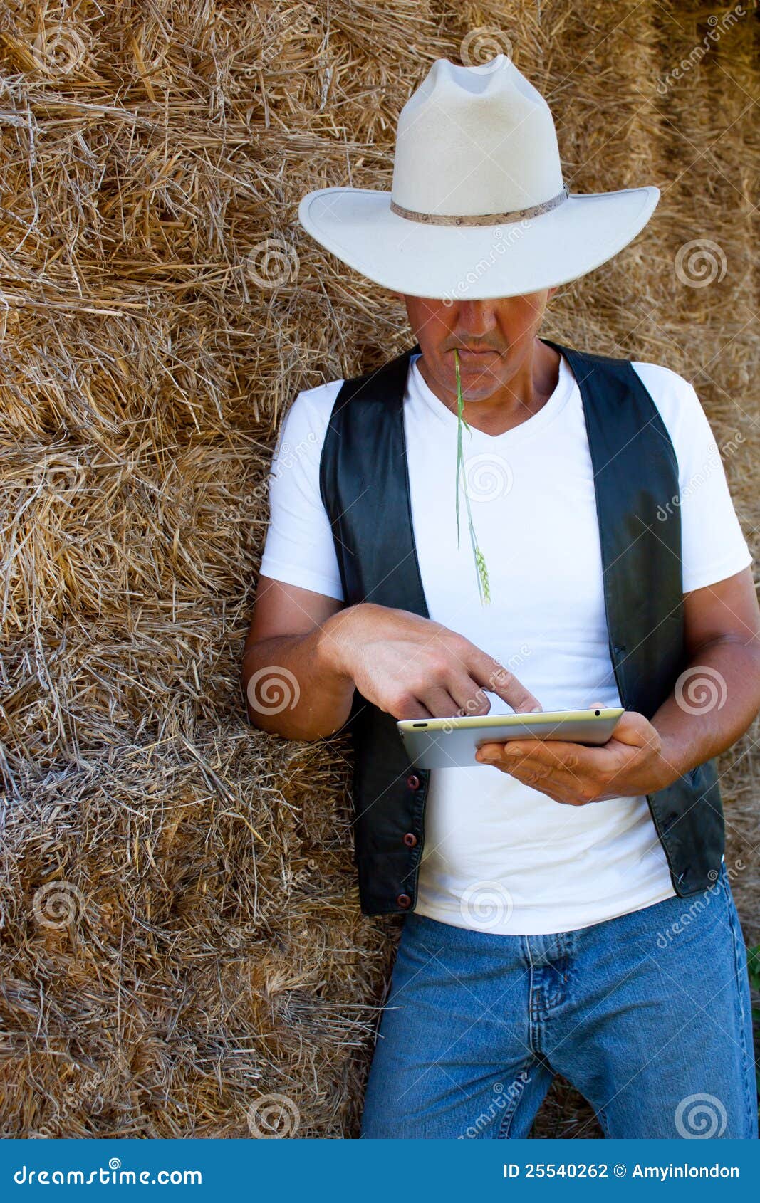 Cowboy Using Touch Screen of Tablet Computer Stock Photo - Image of ...