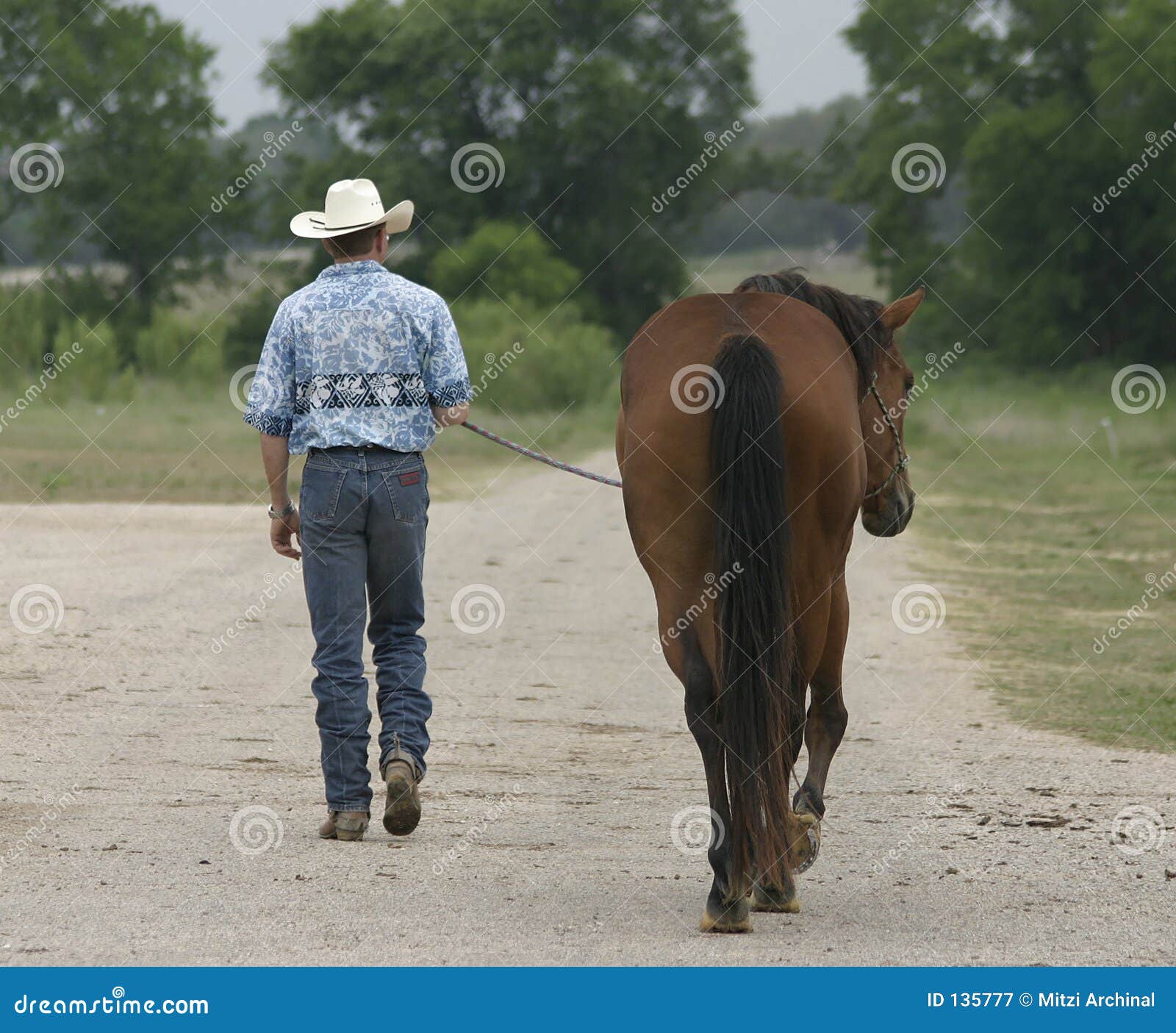 Cowboy walking stock image. Image of road, cowboy, lead - 135777