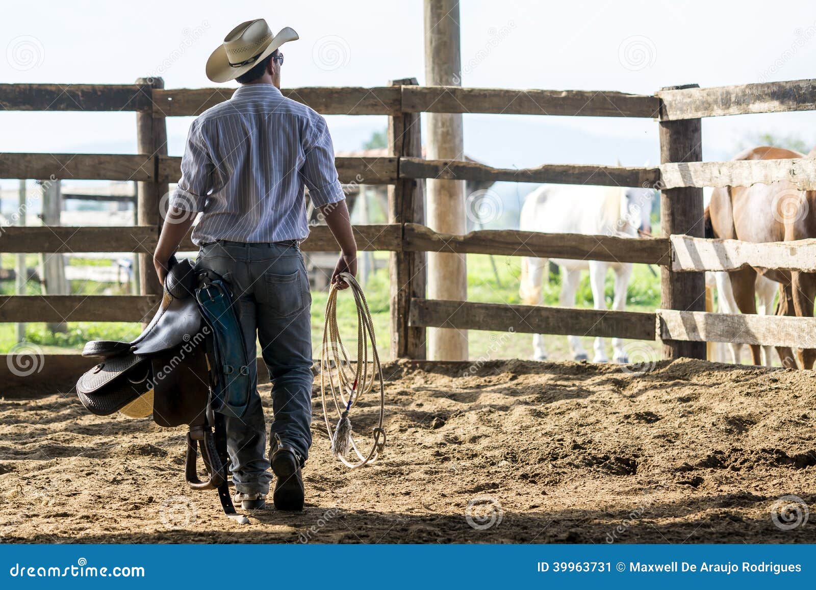 Cowboy Walking and Watching Stock Image - Image of fashion, freedom ...
