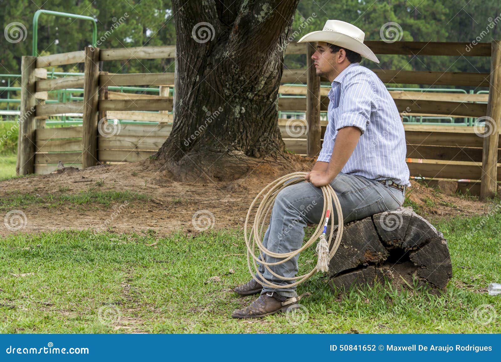 Cowboy watching stock photo. Image of fashion, alone - 50841652