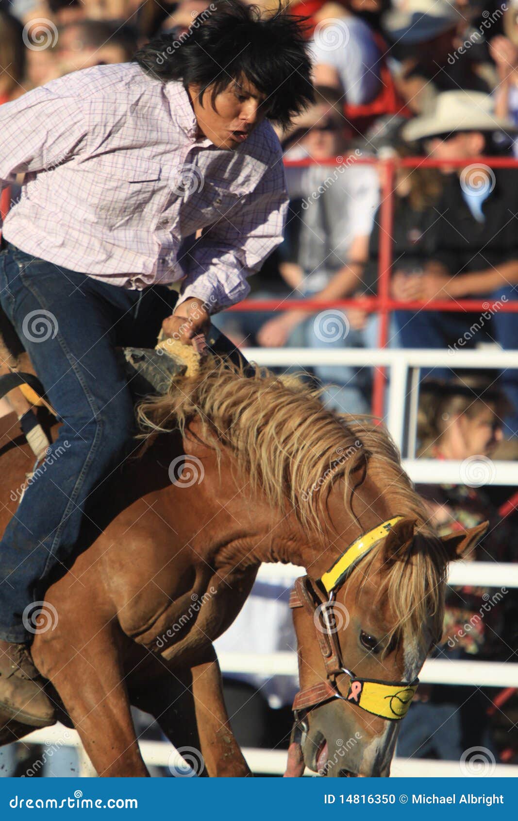 Cowboy on wild ride editorial image. Image of expression - 14816350