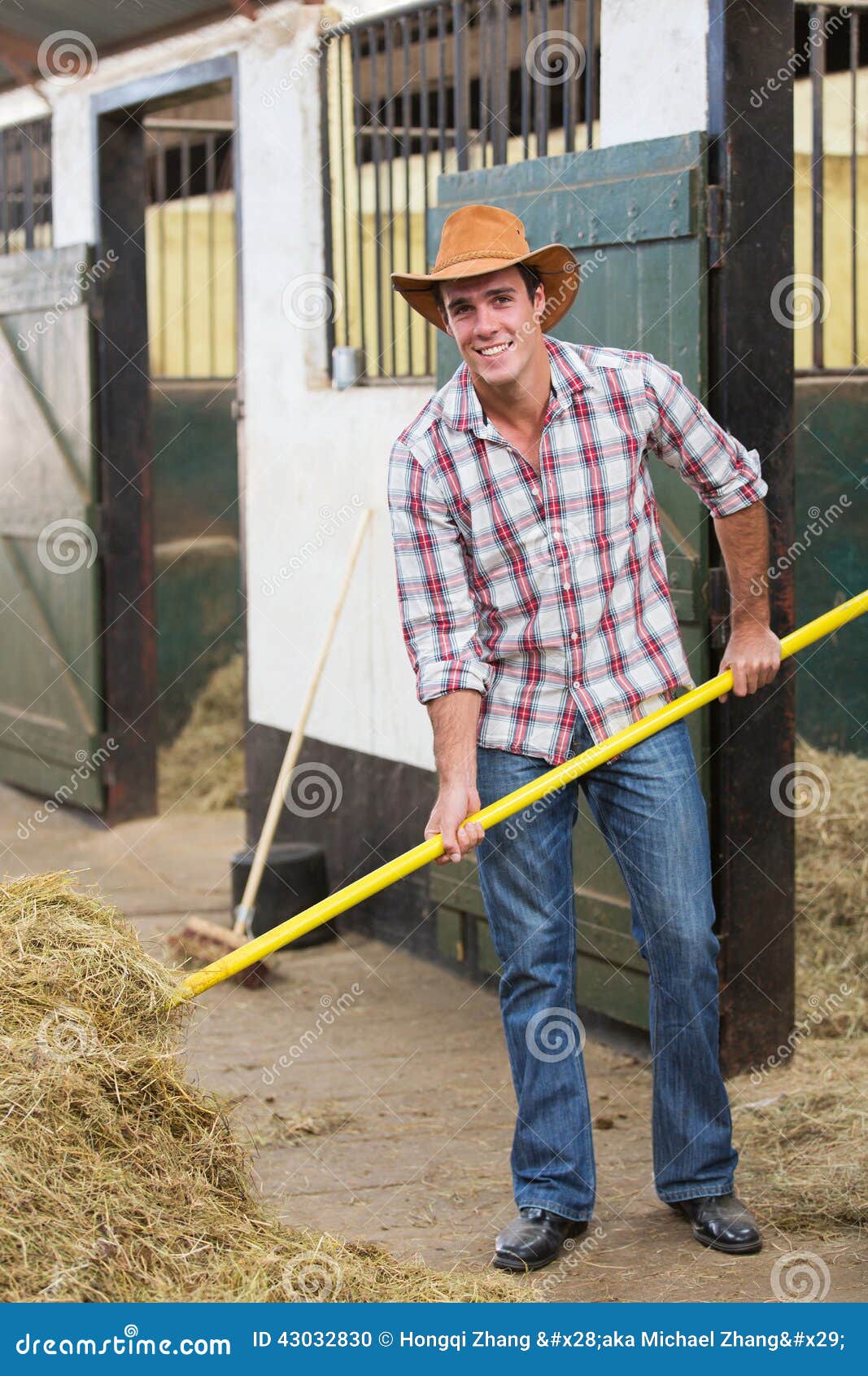 Cowboy working stable stock photo. Image of farmer, cheerful - 43032830