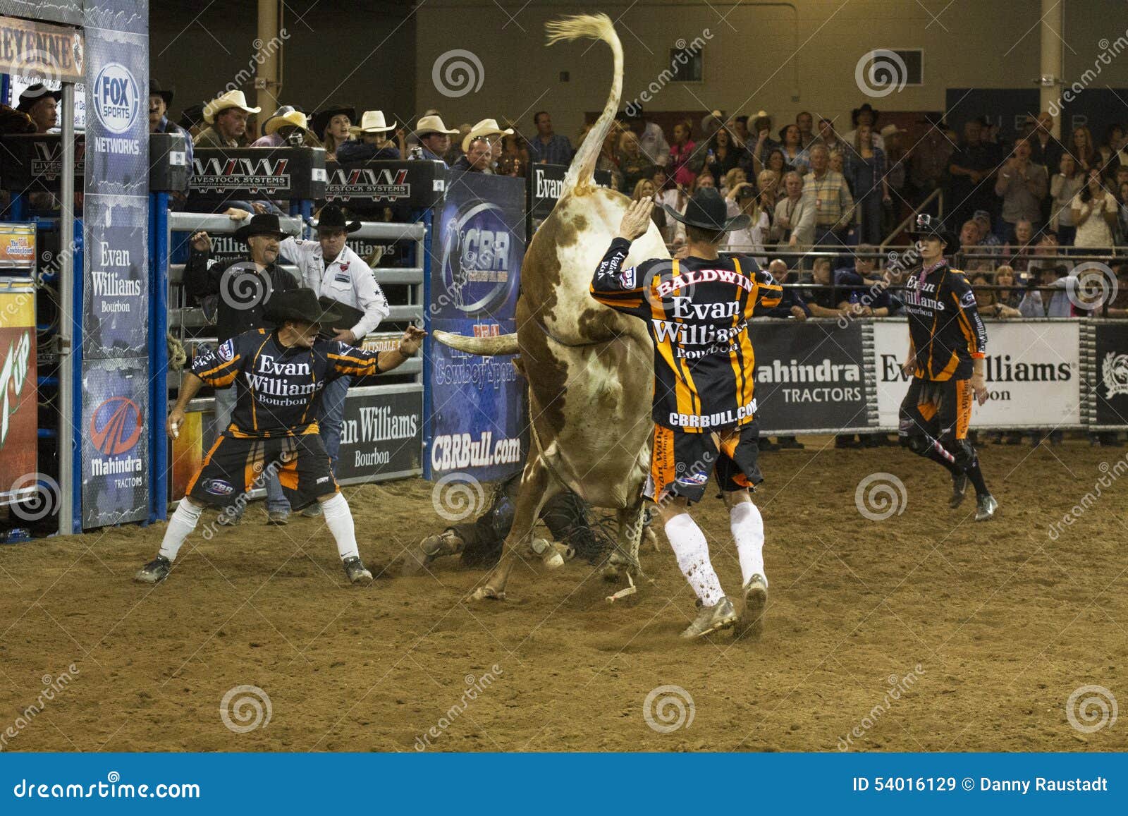 Cowboys De Cavalier De Taureau De Rodéo Image stock éditorial - Image ...