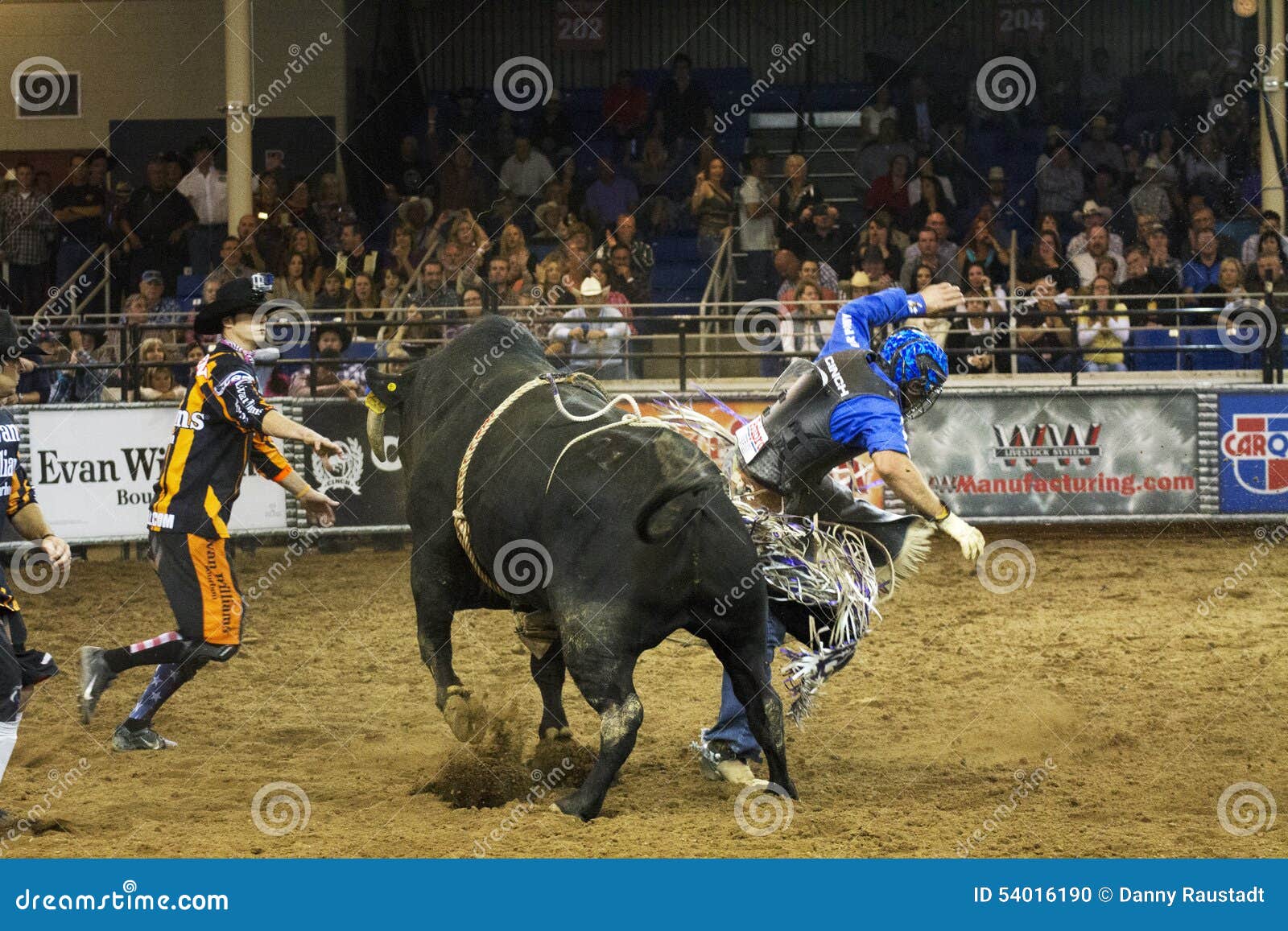 Cowboys De Cavalier De Taureau De Rodéo Image éditorial - Image of ...