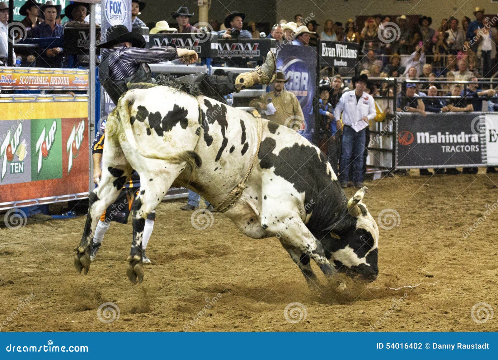 Cowboys De Cavalier De Taureau De Rodéo Photographie éditorial - Image ...