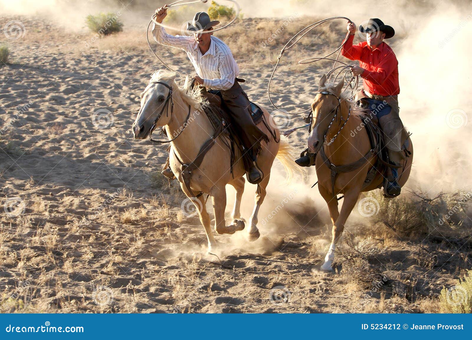 Cowboys de duel photo stock. Image du troupeau, charger - 5234212