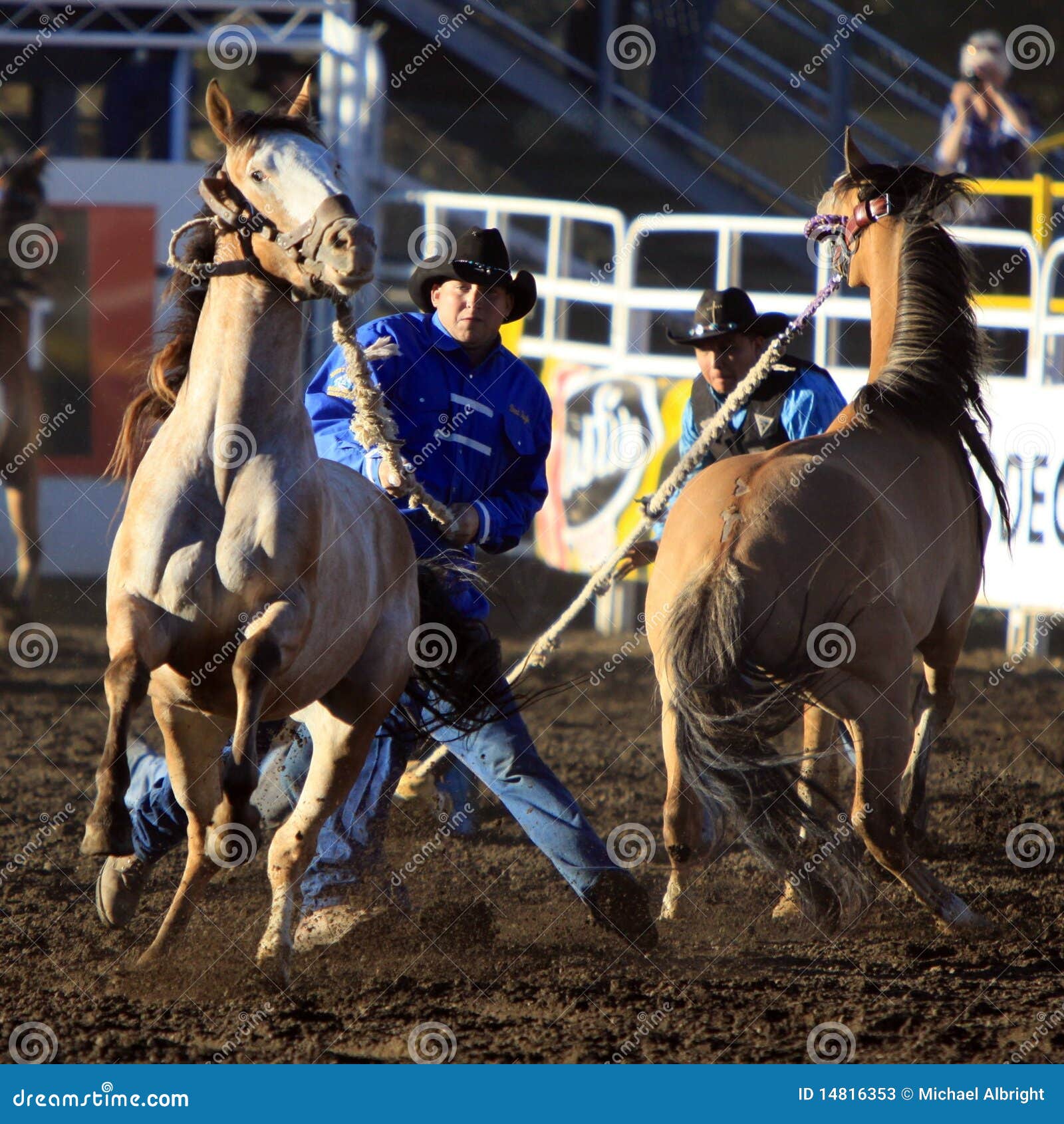 Cowboys Die Met Wilde Broncs Worstelen Redactionele Stock Foto - Image ...