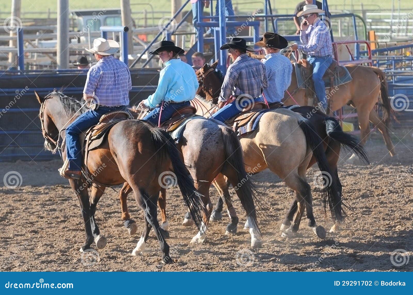 Cowboys on horses editorial photography. Image of cowboy - 29291702