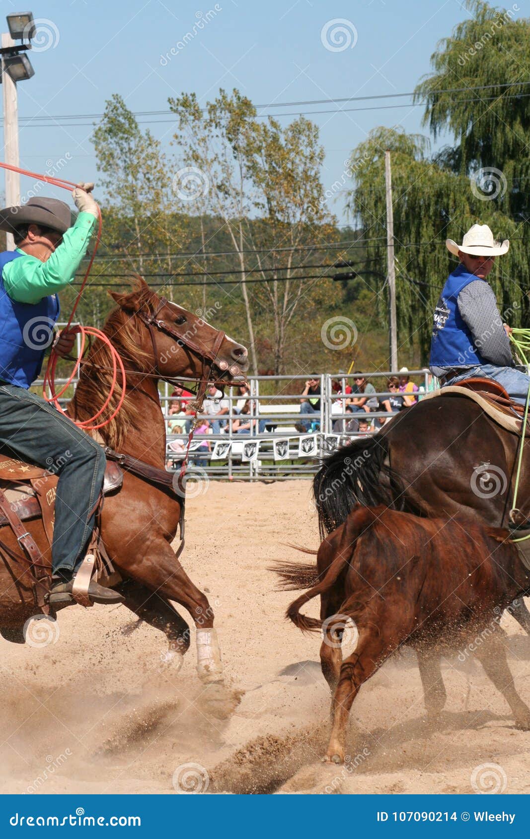 Cowboys at the rodeo editorial stock image. Image of calf - 107090214
