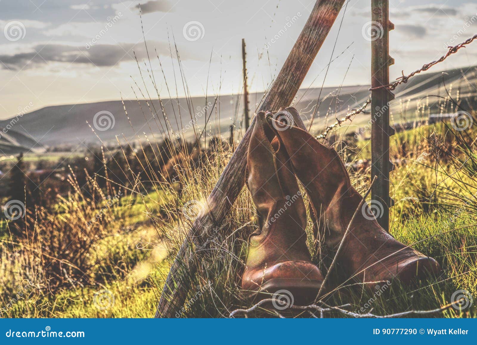 Cowboys work hard stock photo. Image of stunning, hard - 90777290