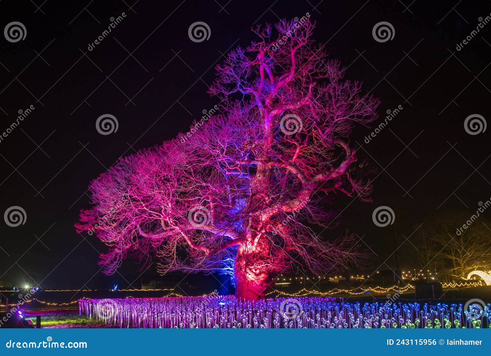 Cowdray Park Light Trail 2021 Editorial Photo - Image of work, 2021: ...