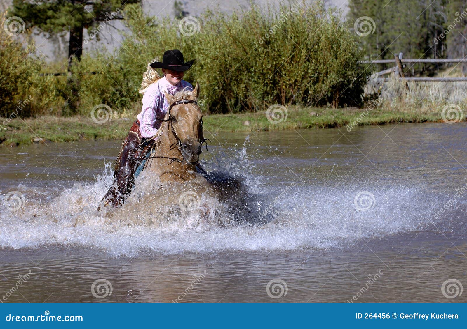 Cowgirl In Water Trough