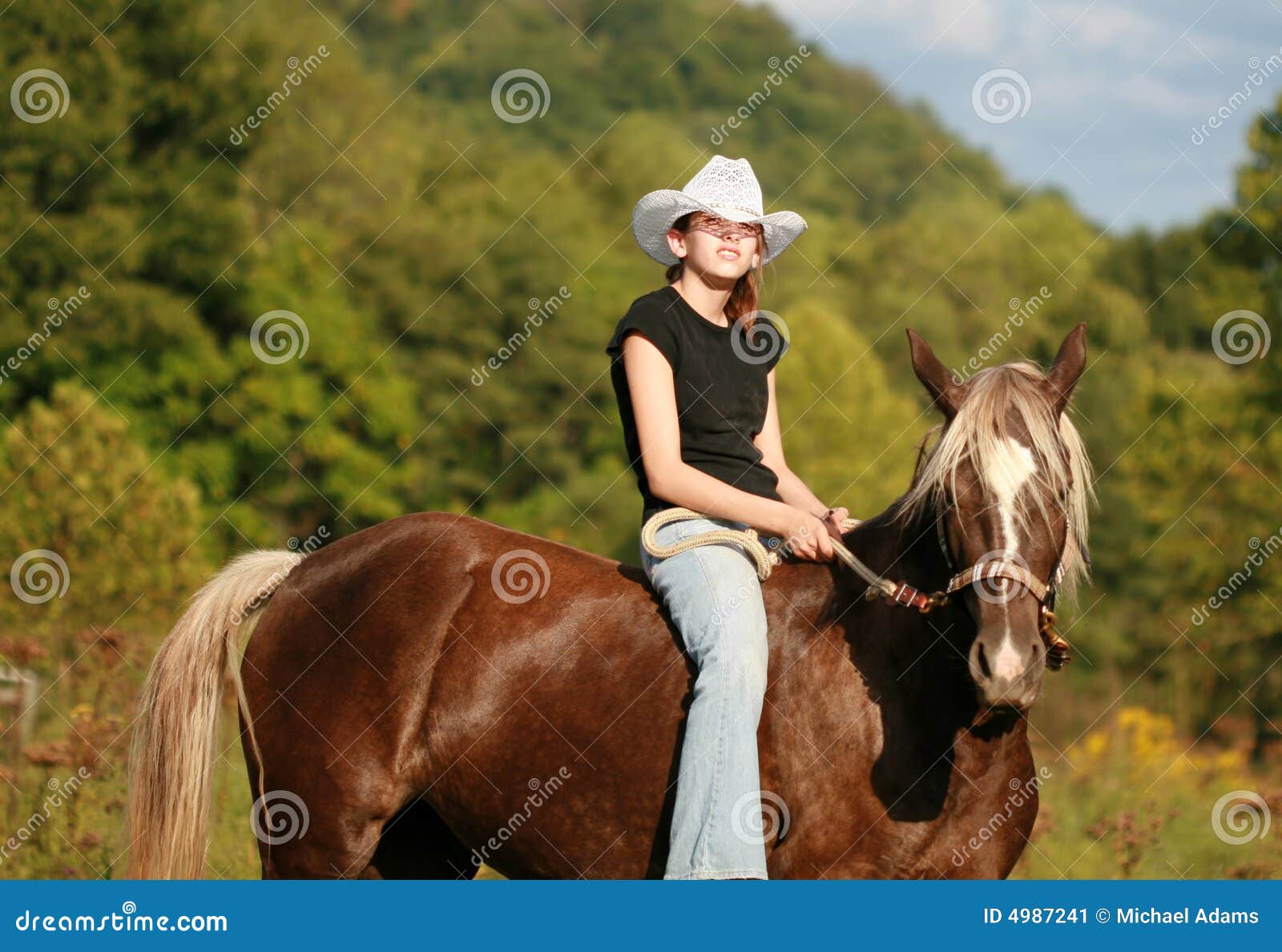 Cowgirls & Mustangs stock image. Image of equestrian - 4987241