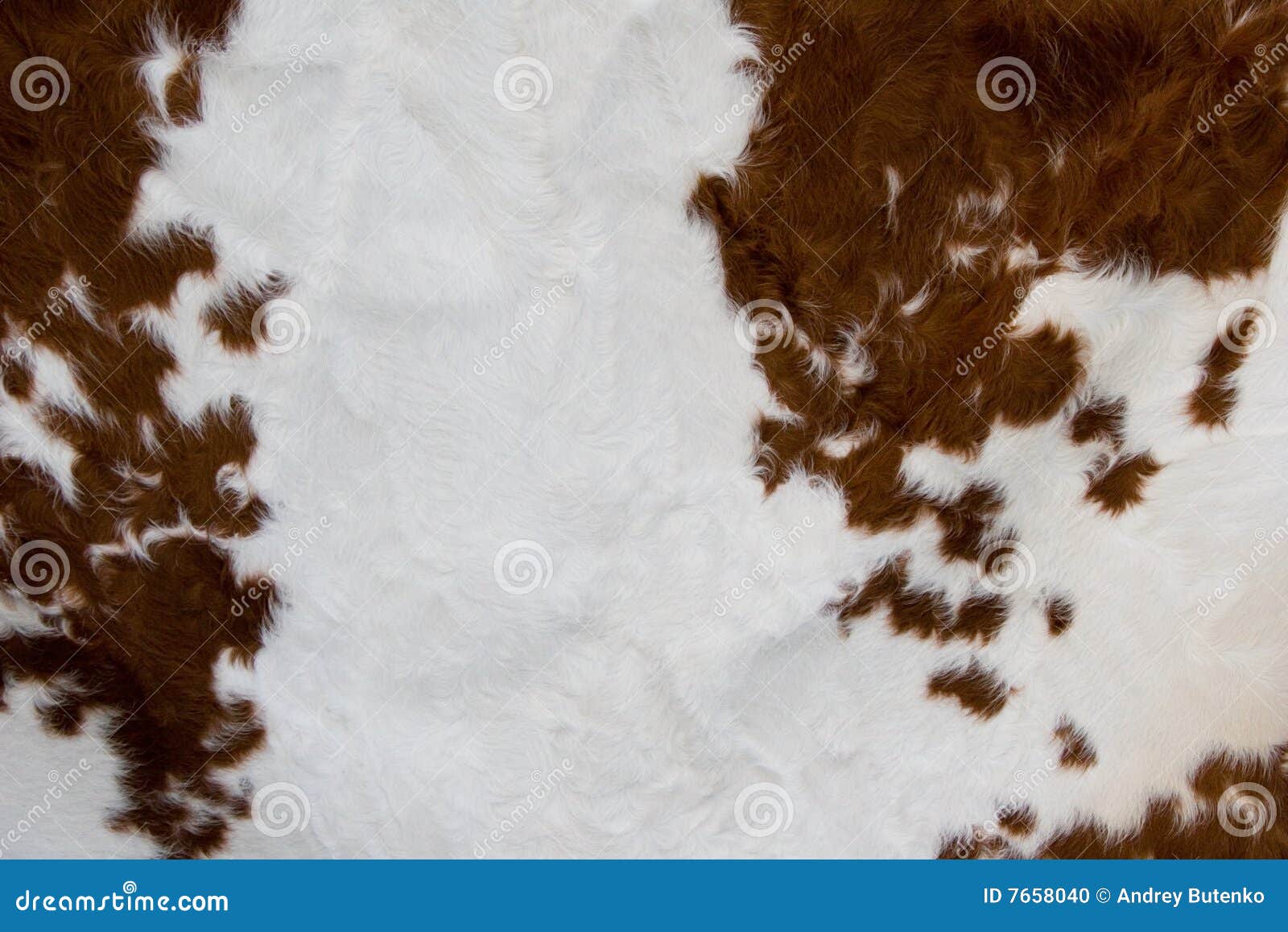 Cowhide stock photo. Image of leather, pattern, textured - 7658040