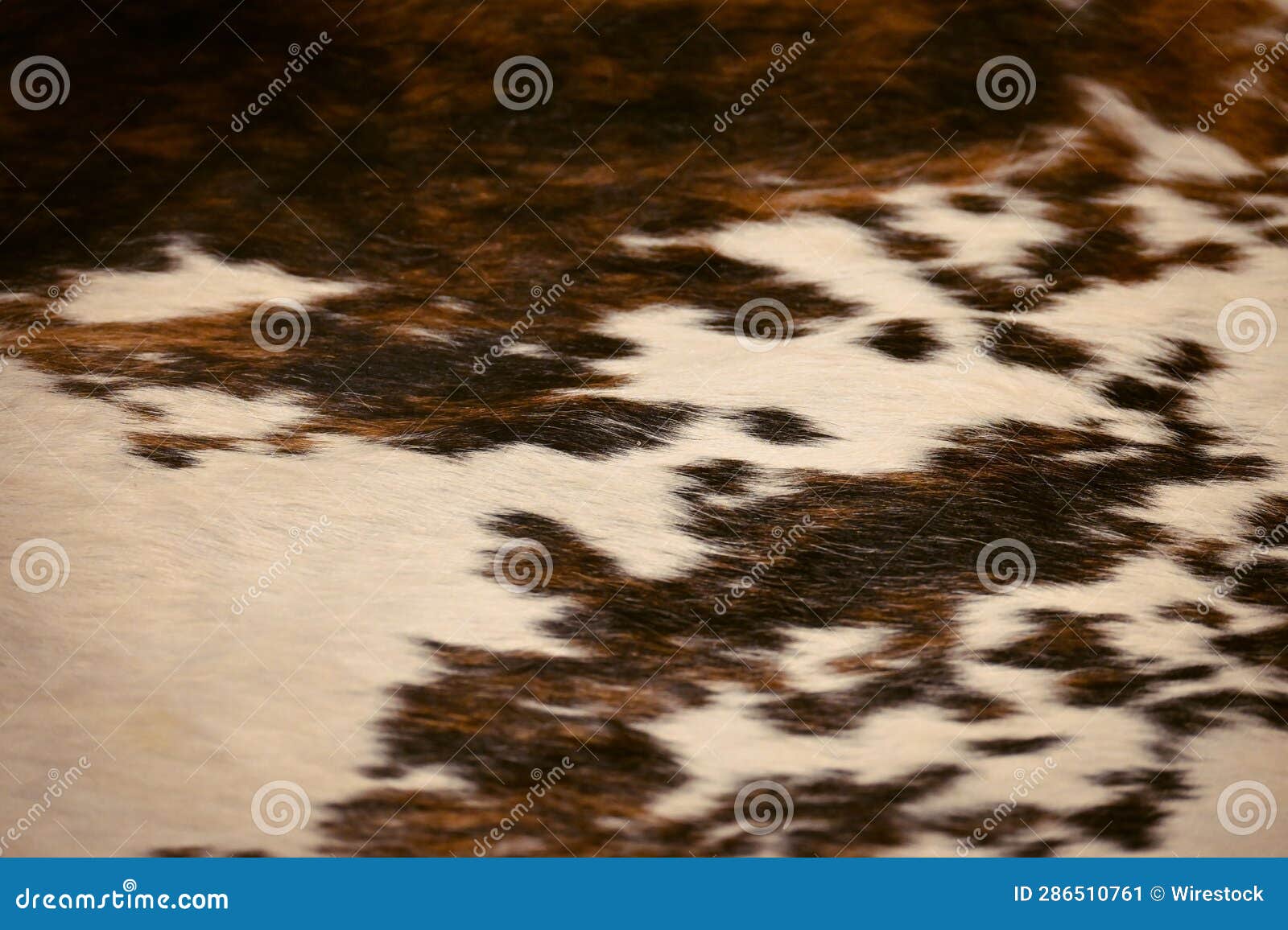 Cowhide Pattern Fabric, Showcasing Its Unique Texture and Natural ...