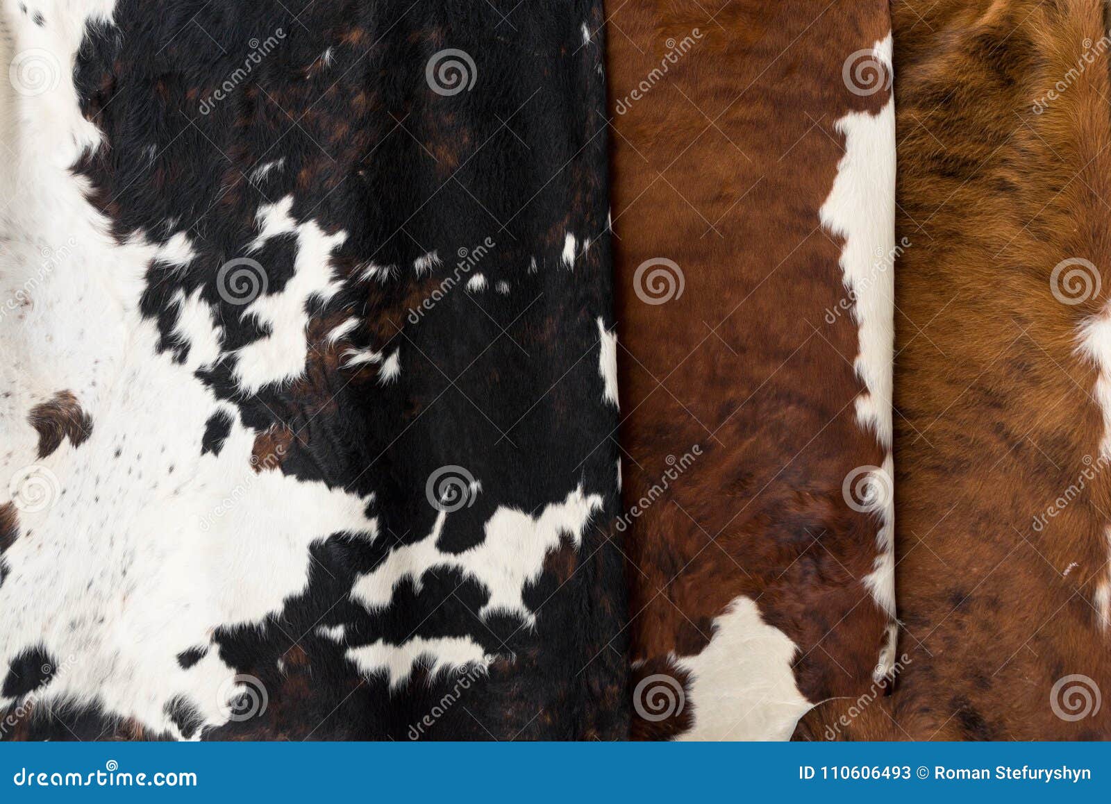 Cow skin Pattern texture stock image. Image of abstract - 110606493