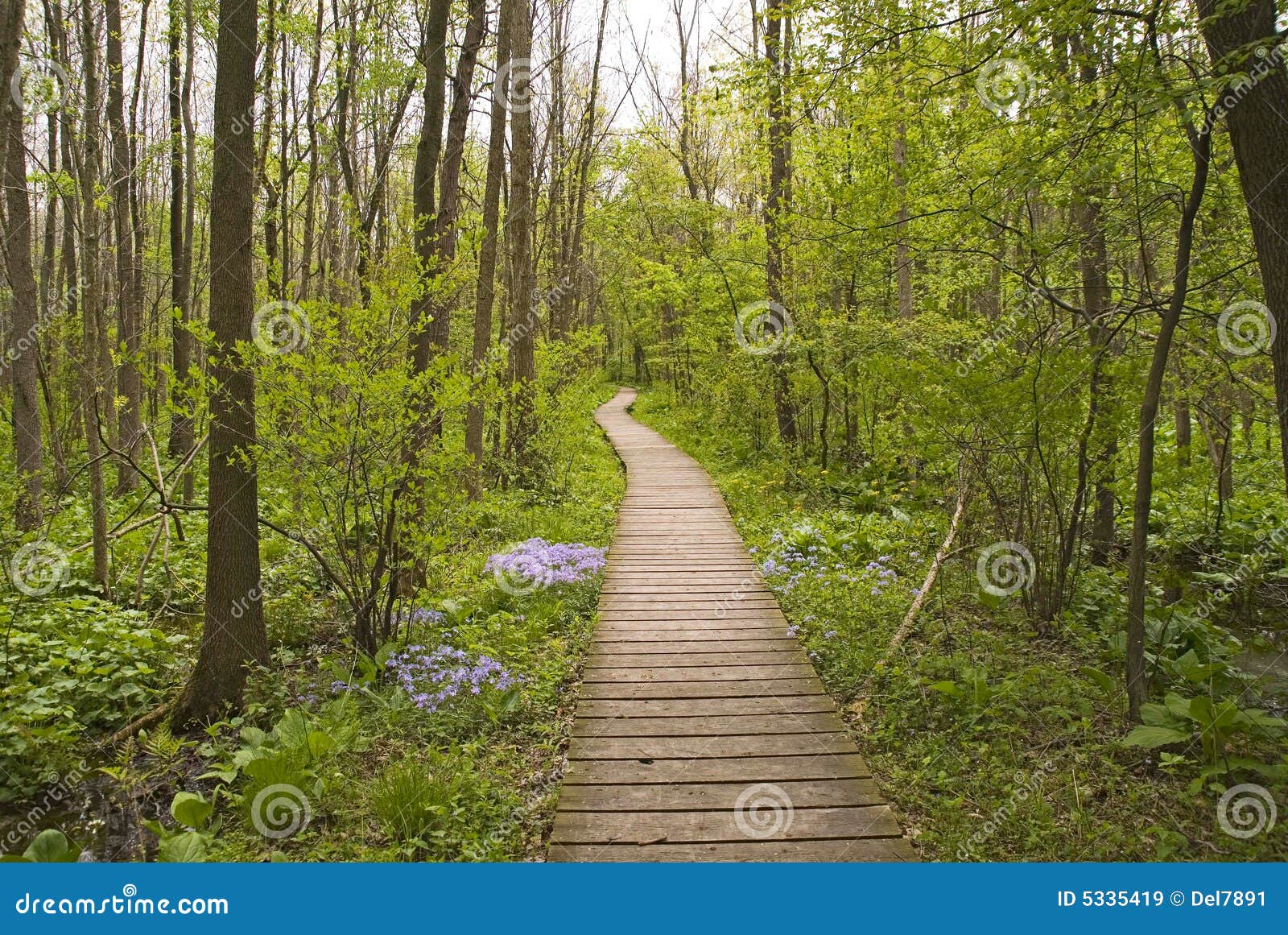 Cowles Bog stock image. Image of dunes, state, spring - 5335419