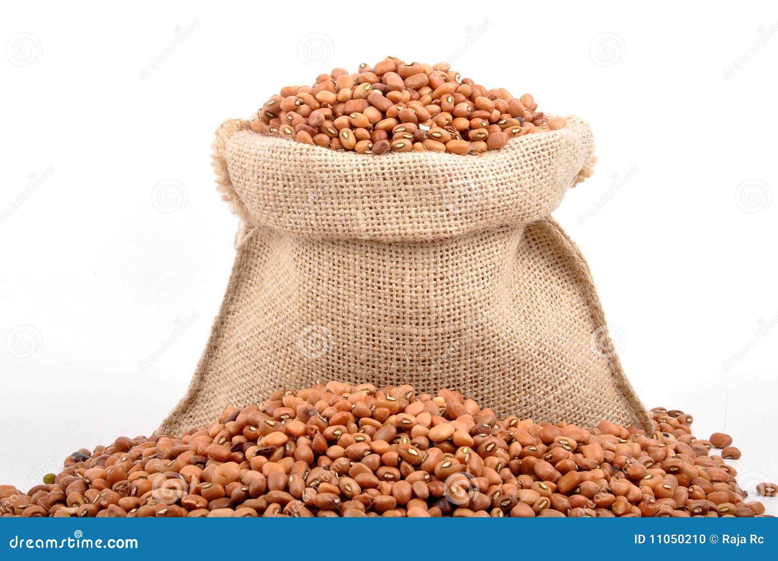 Cowpea stock photo. Image of crop, seed, grain, asian - 11050210