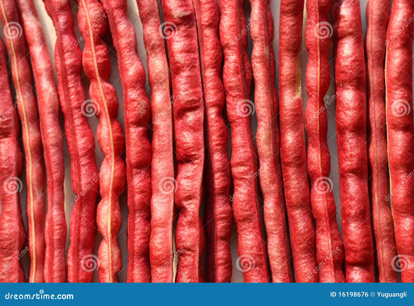 Cowpea stock photo. Image of fresh, natural, material - 16198676