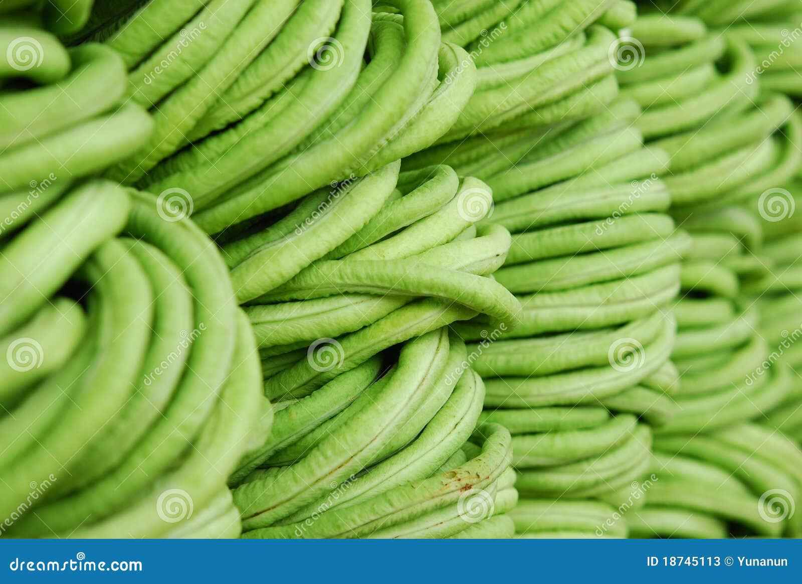 Cowpea stock image. Image of bean, long, garden, closeup - 18745113