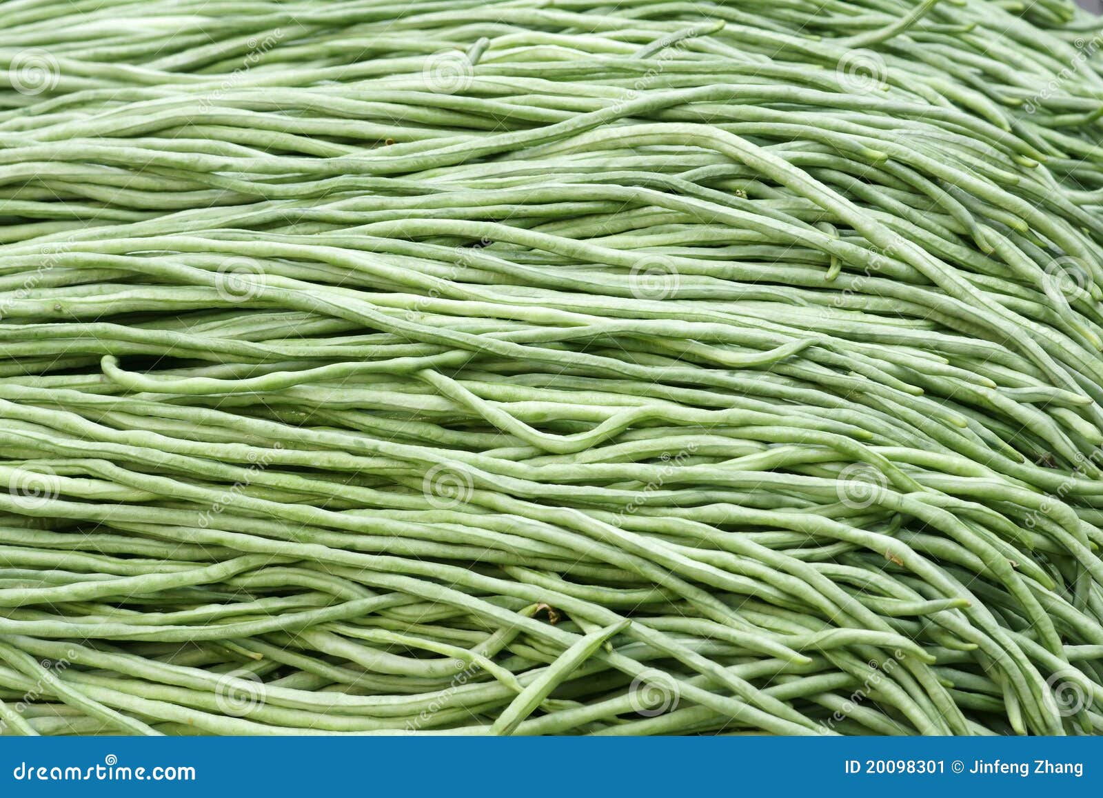 Cowpea stock image. Image of food, cowpea, vegetables - 20098301