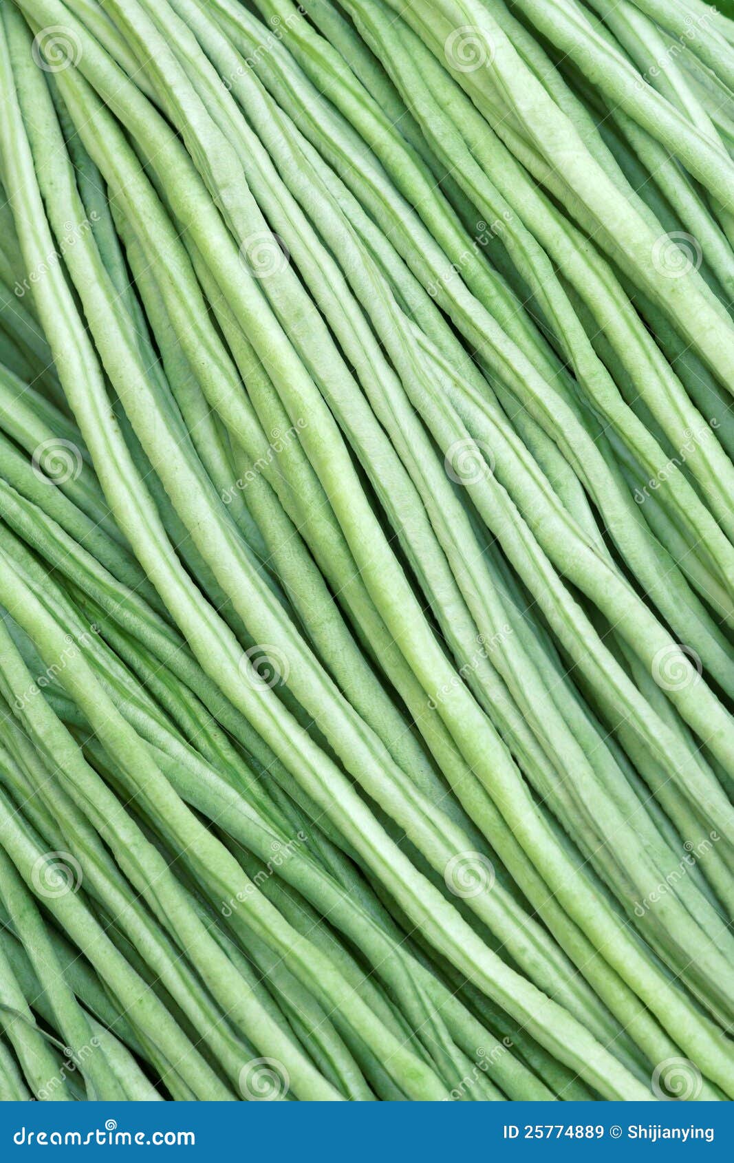 Cowpea stock image. Image of green, greenstuffs, aliment - 25774889