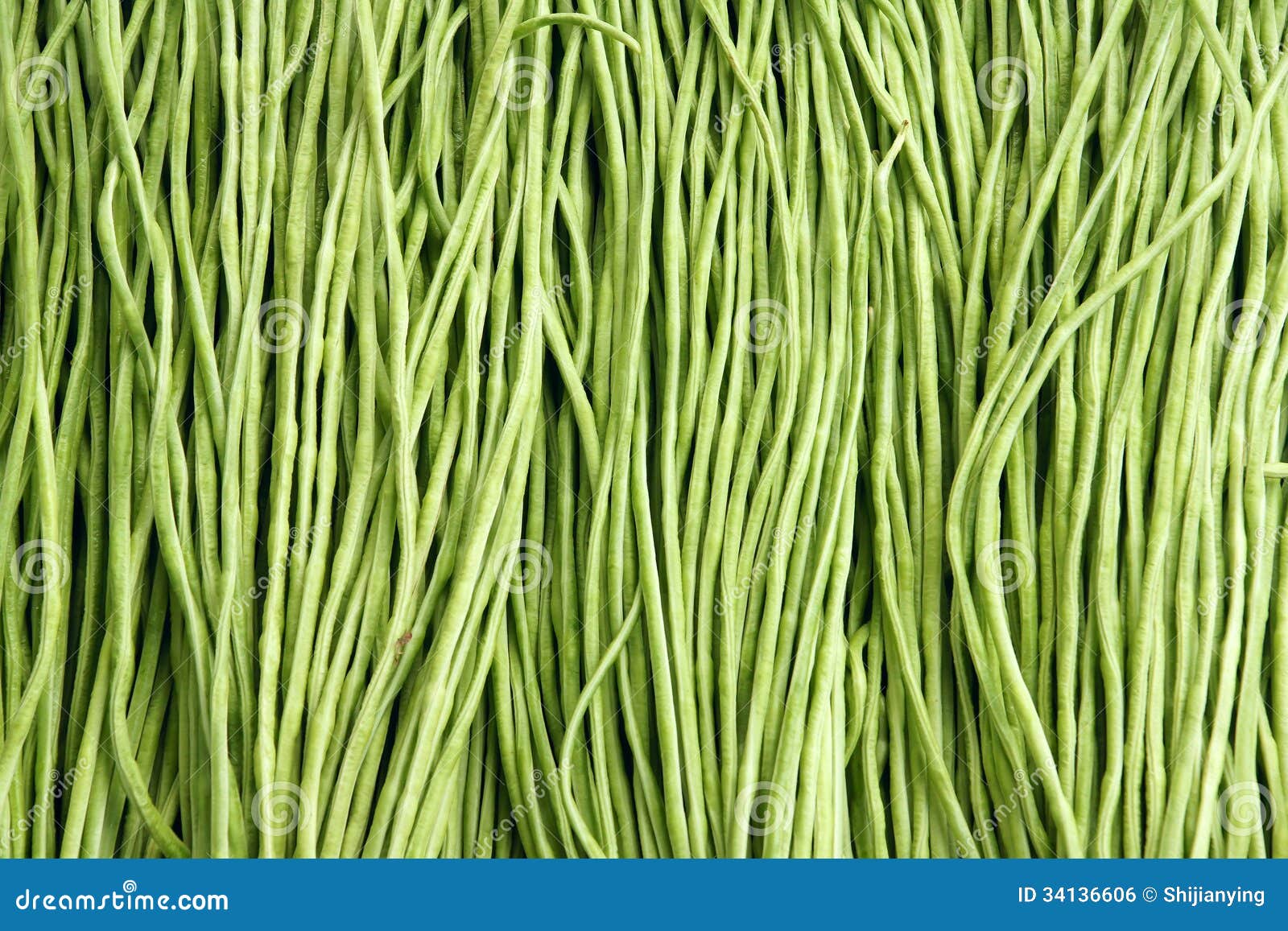Cowpea stock photo. Image of vegetable, greenstuff, closeup - 34136606