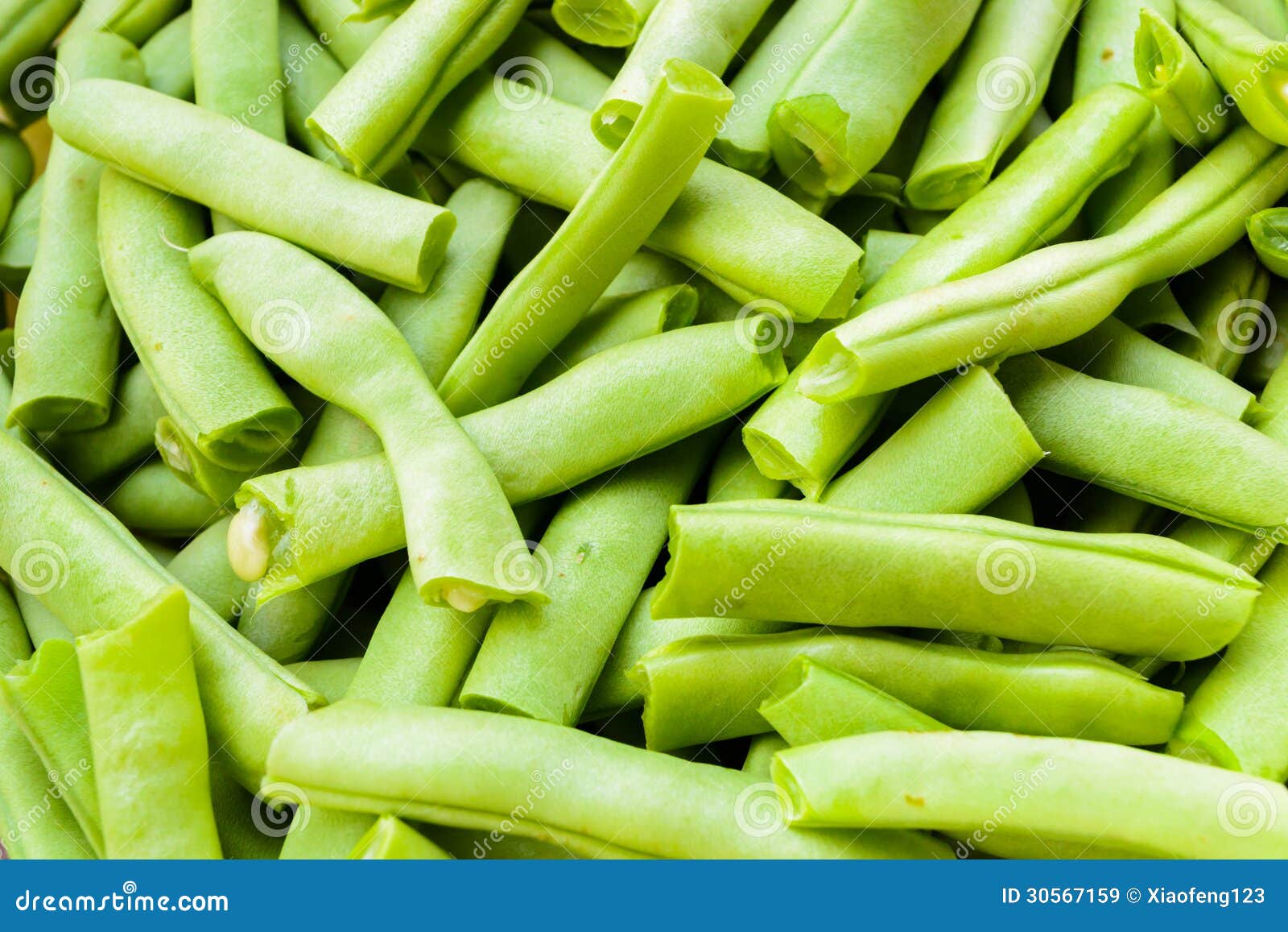 Cowpea stock image. Image of long, organic, closeup, fresh - 30567159