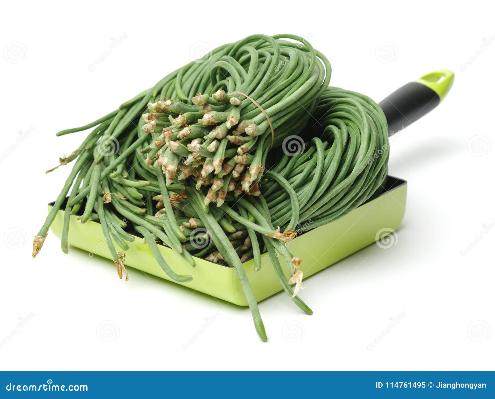 Fresh cowpea stock image. Image of bora, fresh, farm - 114761495