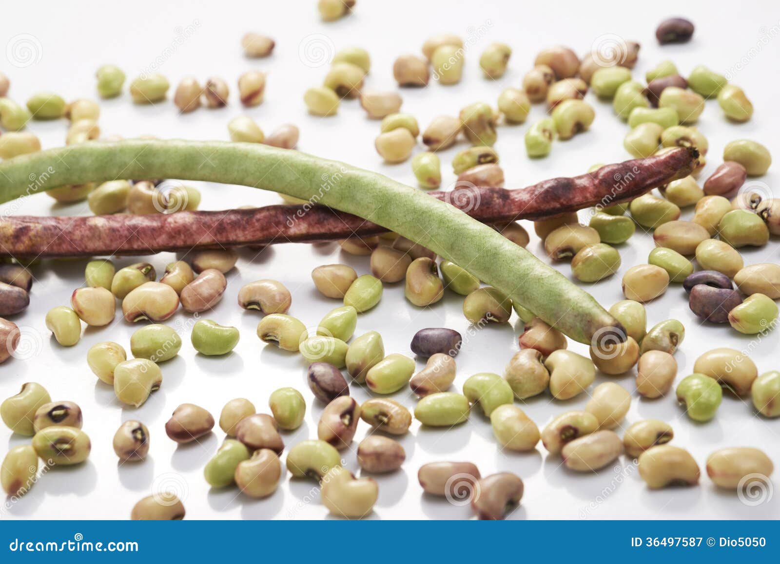 Cowpea stock image. Image of vegetable, cowpea, grains - 36497587