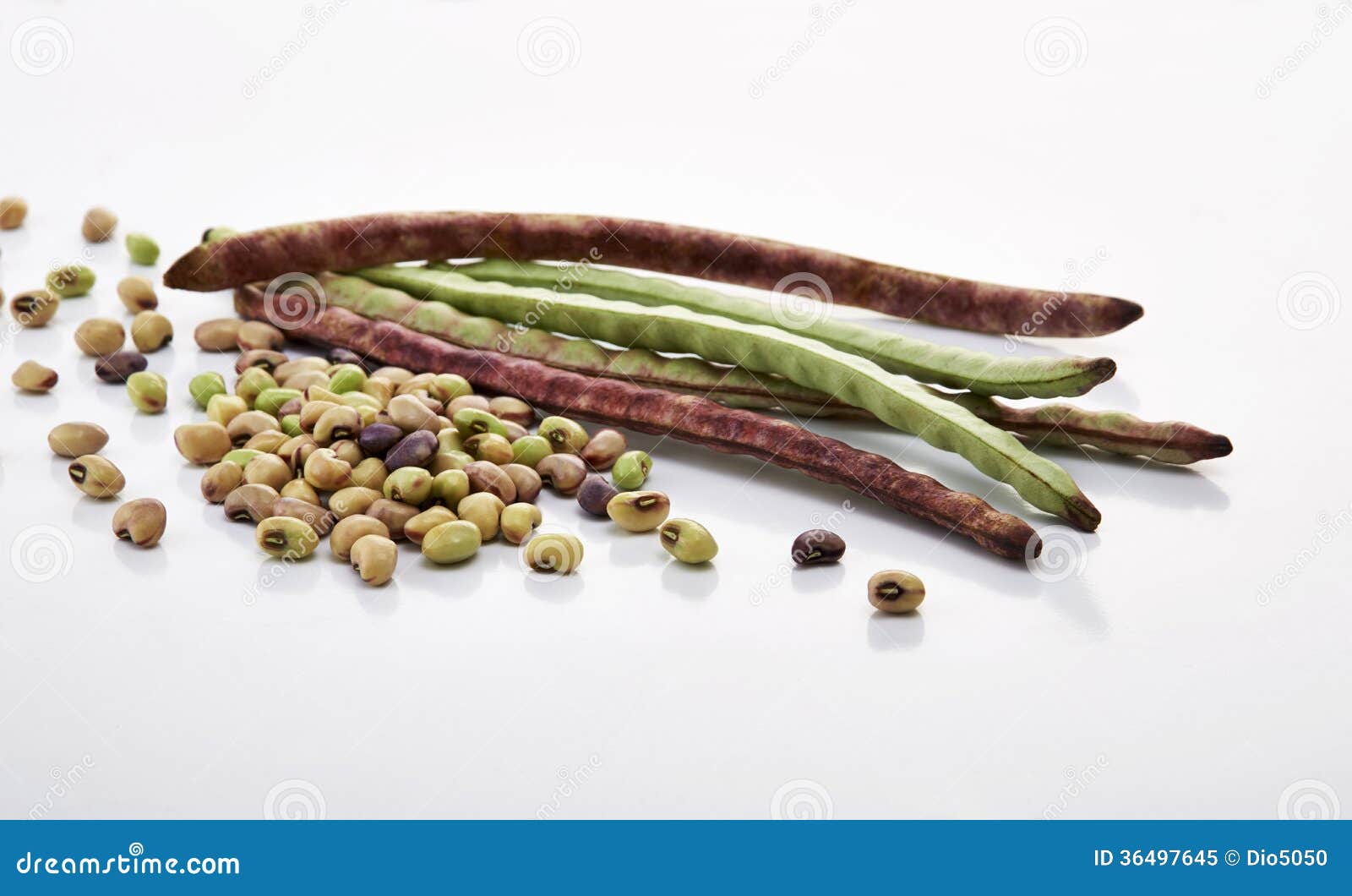 Cowpea stock image. Image of pods, broad, grains, bean - 36497645