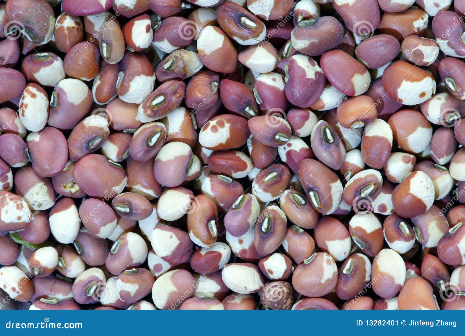 Cowpeas stock image. Image of foodstuff, beans, bean - 13282401