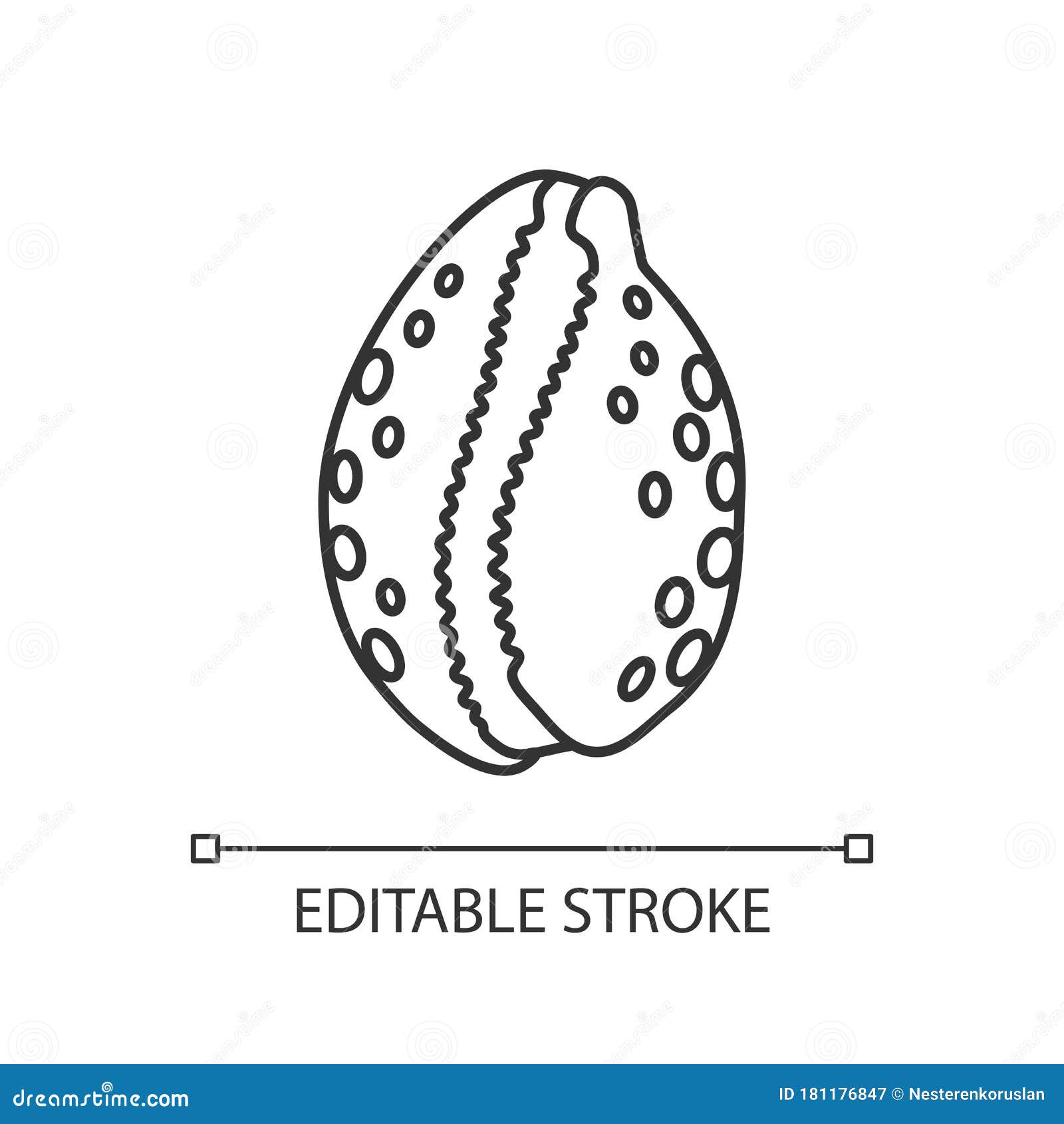 Sea Shell Cowrie Tiger Pattern. Hand Drawn Sketch Style Vector Drawing ... Sea Shell Cowrie Tiger Pattern. Hand Drawn Sketch Style Vector Drawing ...